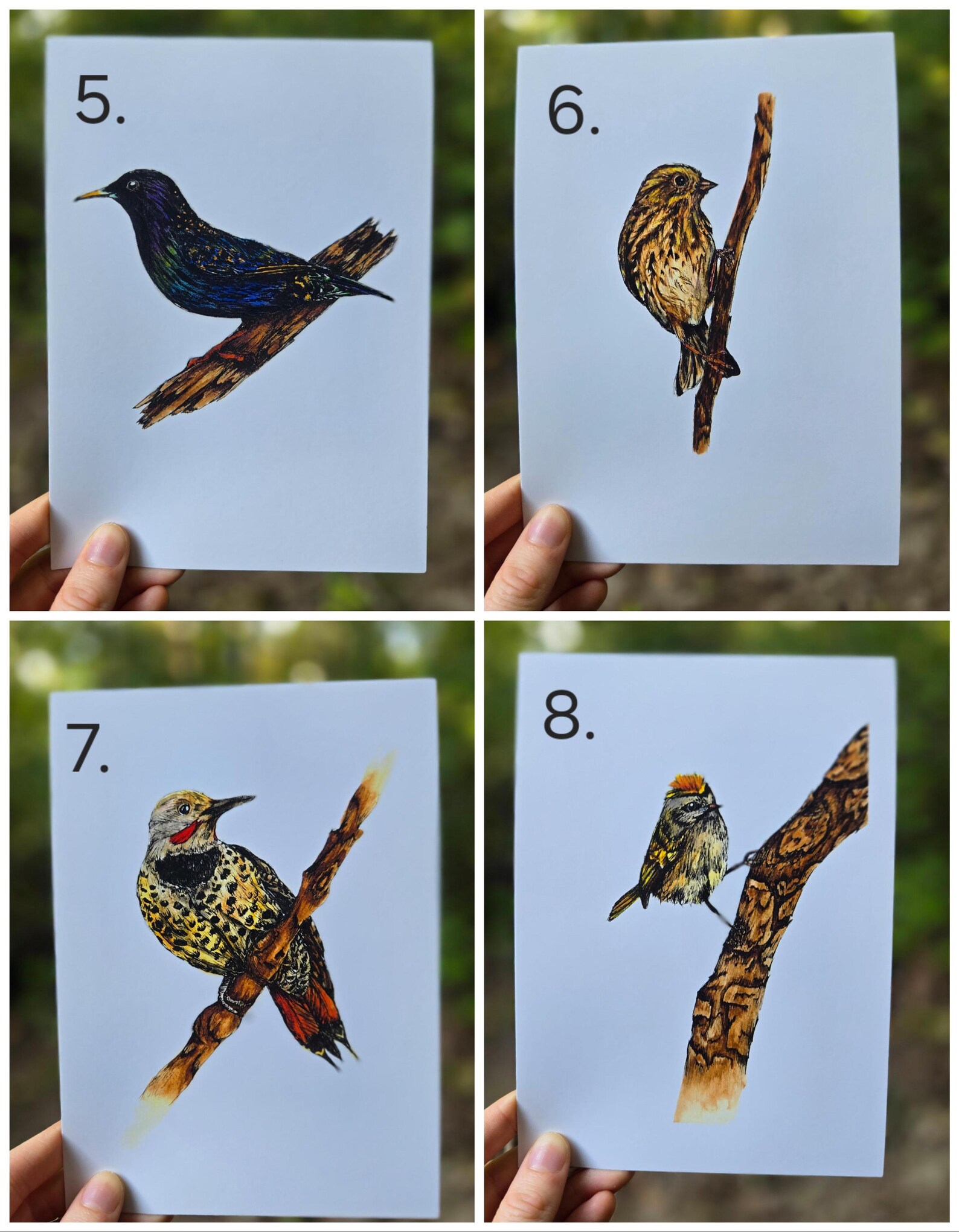 Common Seattle Birds 5x7 Watercolor Prints - Etsy