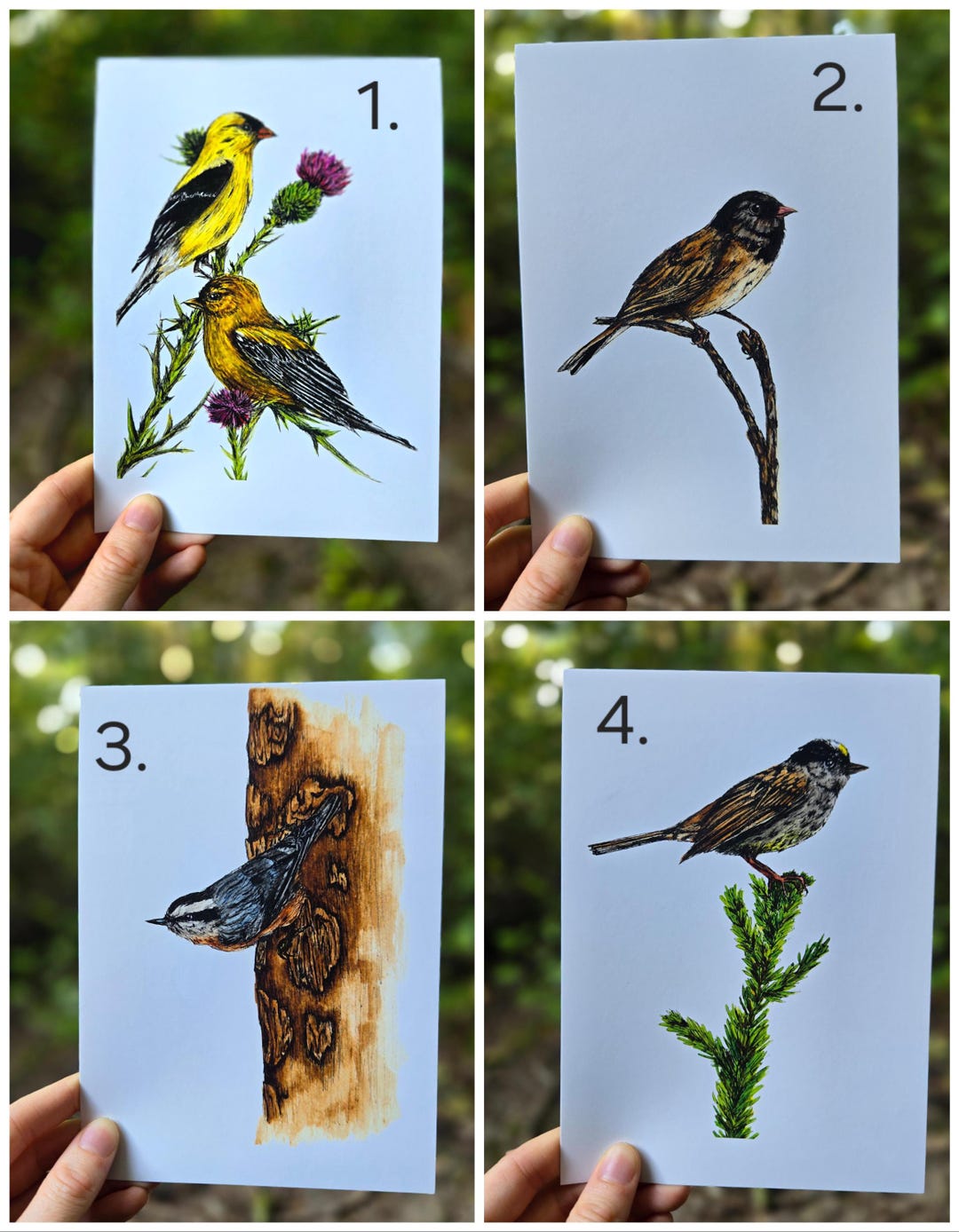Common Seattle Birds 5x7 Watercolor Prints - Etsy