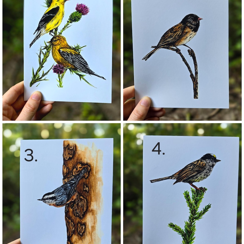 Bird Prints Naturalist - Etsy