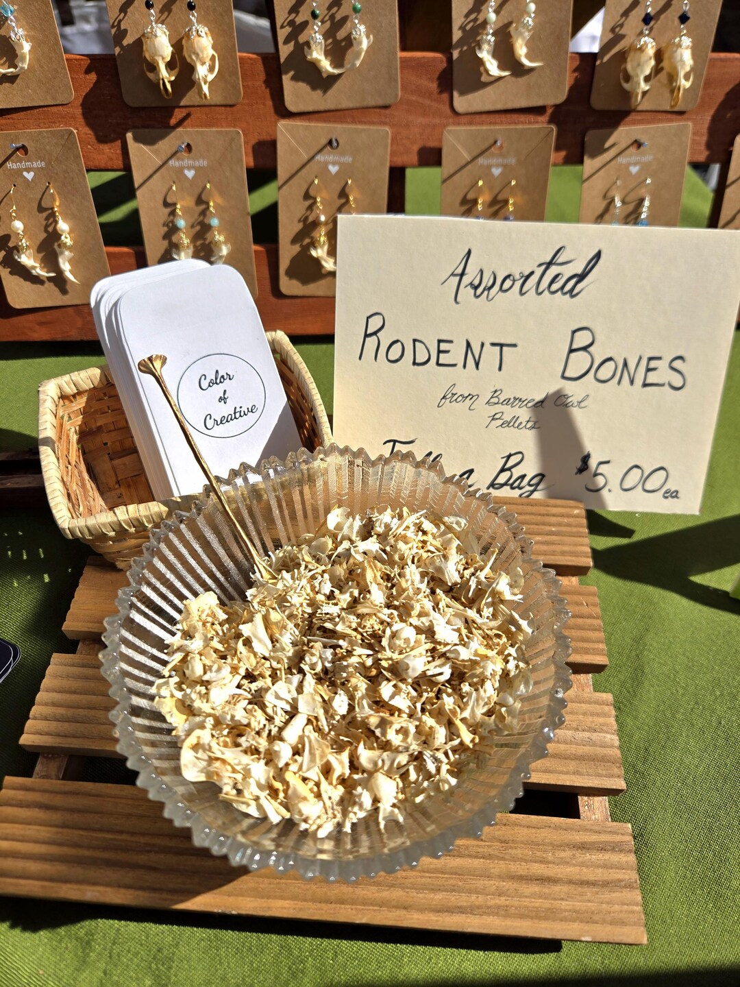 Ethically Sourced Barred or Barn Owl Pellet Assorted Rodent Bones - Etsy