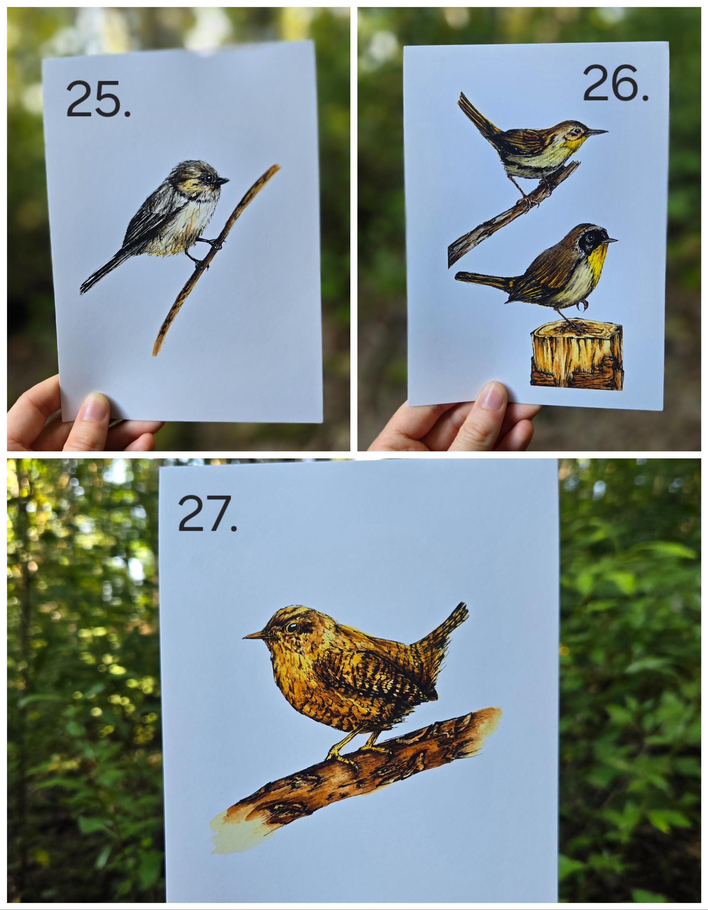 Common Seattle Birds 5x7 Watercolor Prints - Etsy