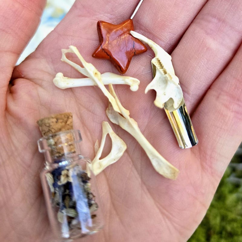 Throwing Bones Kits - Etsy
