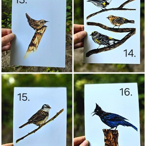 Common Seattle Birds 5x7 Watercolor Prints - Etsy