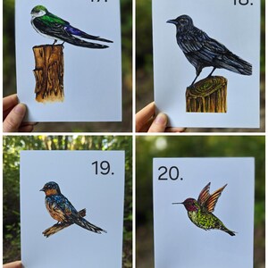 Common Seattle Birds 5x7 Watercolor Prints - Etsy