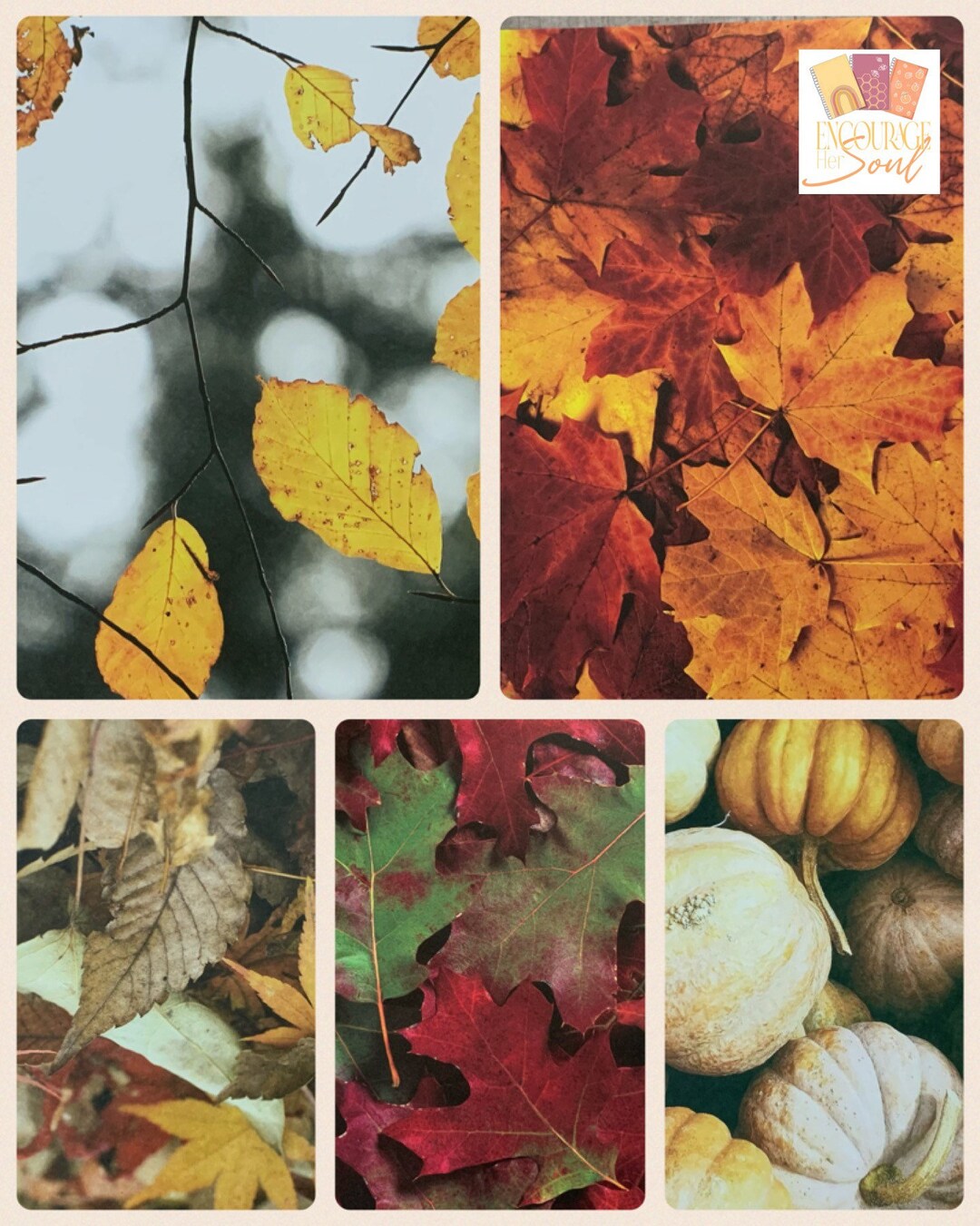 Fall Covers Happy Planner | Planner Cover for Discbound | Available in ...