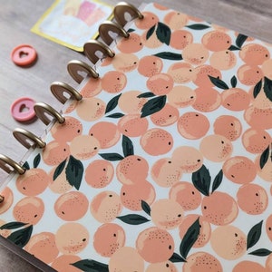 You're a Peach BUNDLE Happy Planner Planner Cover, Dividers and ...