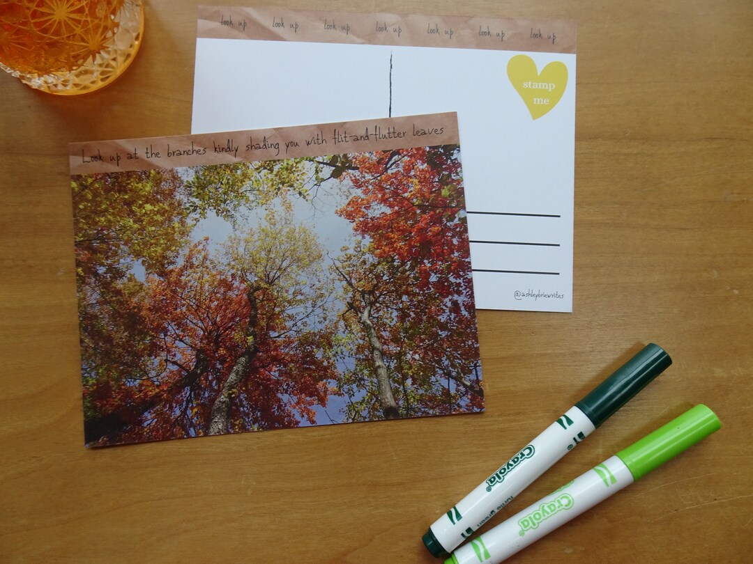 Nature Postcards Poetry Postcards Postcards Set of 5 5.5 X - Etsy