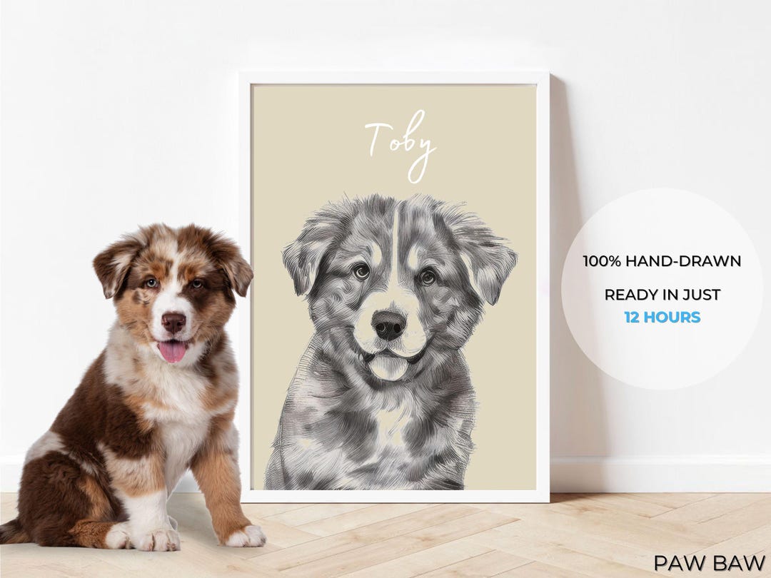 Custom Pet Portrait Sketch Using Photo, Personalized Digital Dog ...