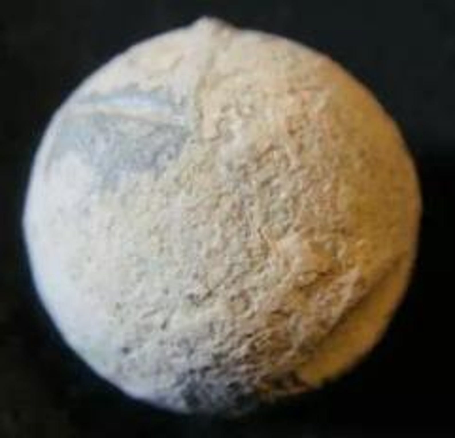 BATTLE WATERLOO 1815, Musket BALL Napoleonic Wars Napoleon Wellington ...