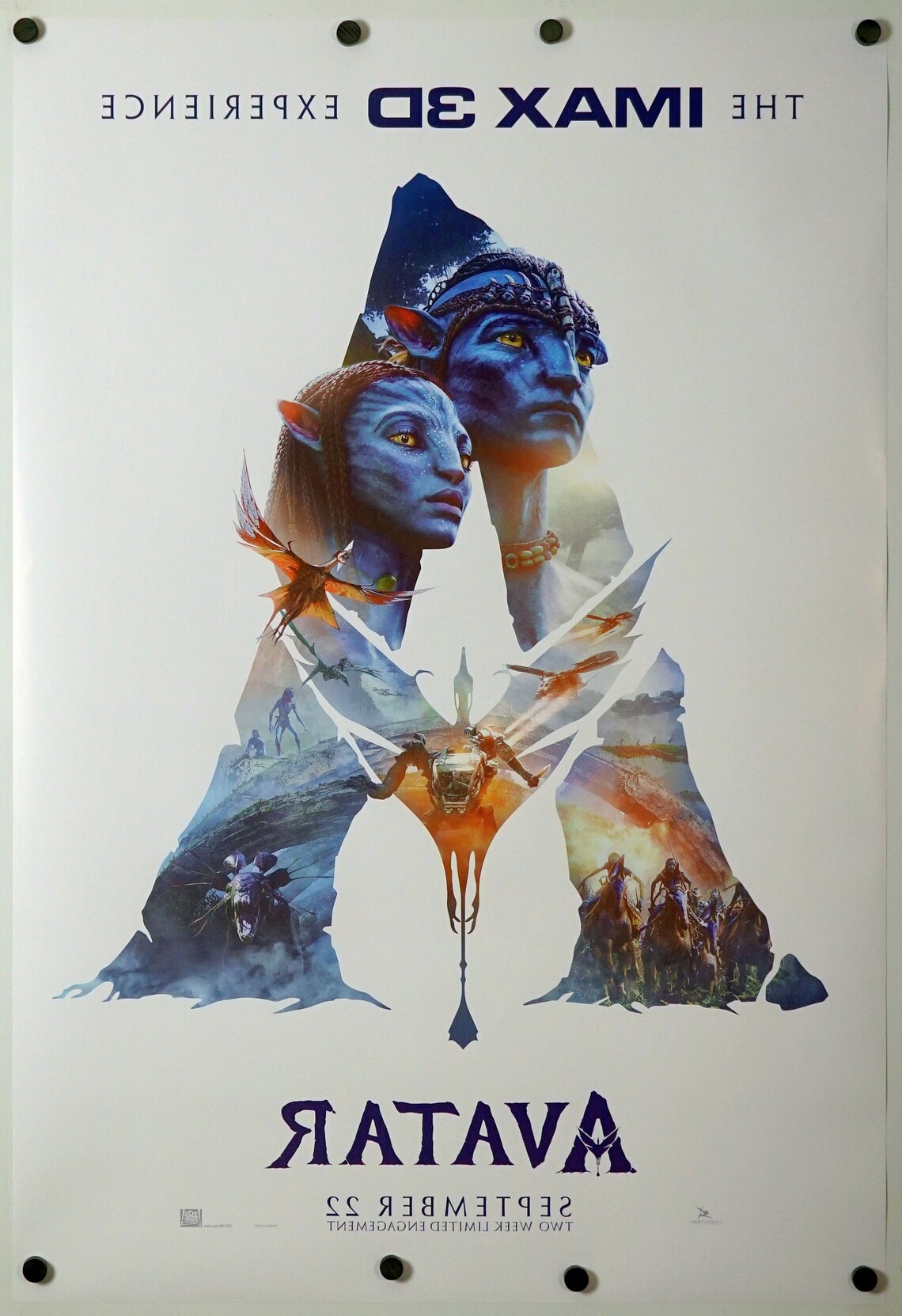 Avatar 2 Sided Movie Poster 27x40 INTL Theatrical Rerelease - Etsy