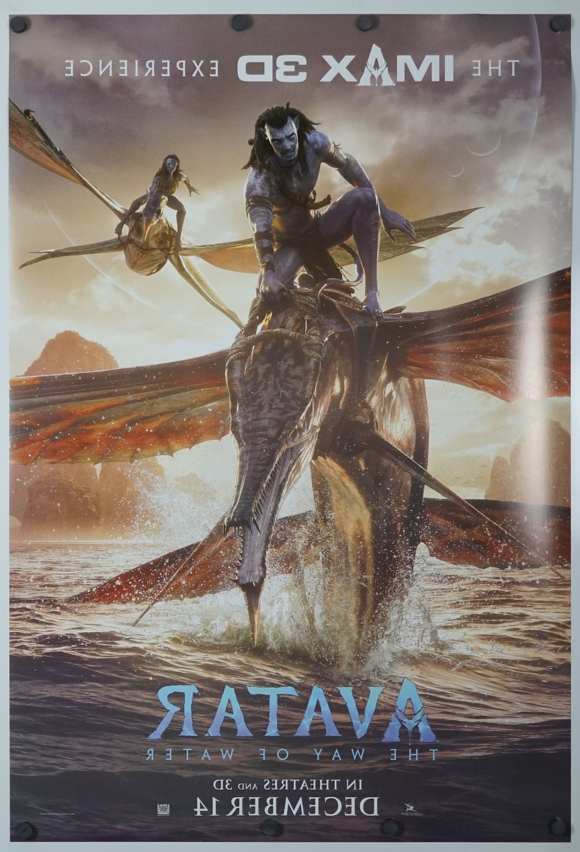 Avatar Original 2 Sided Movie Poster 27x40 INTL IMAX - Etsy