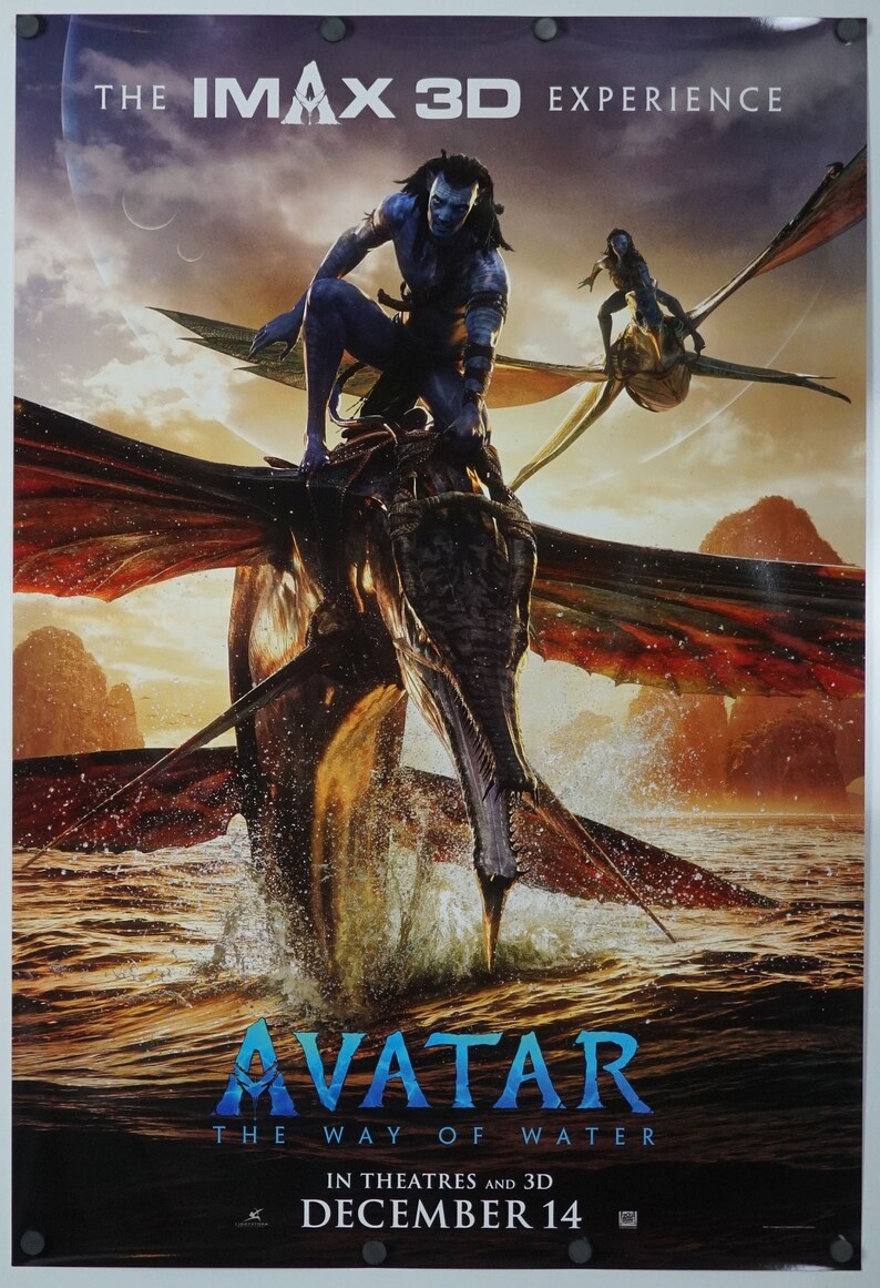 Avatar Original 2 Sided Movie Poster 27x40 INTL IMAX - Etsy