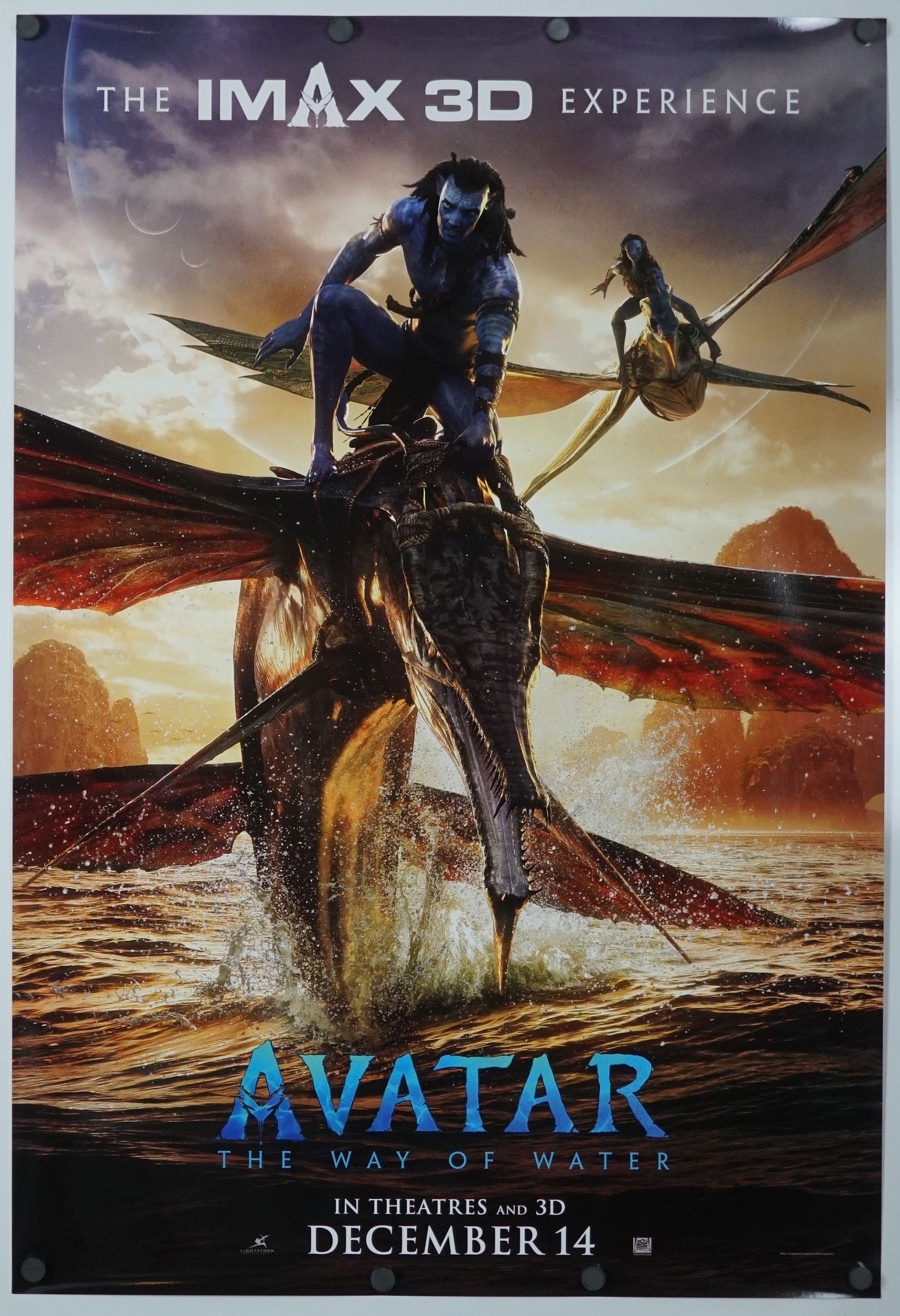 Avatar Original 2 Sided Movie Poster 27x40 INTL IMAX - Etsy