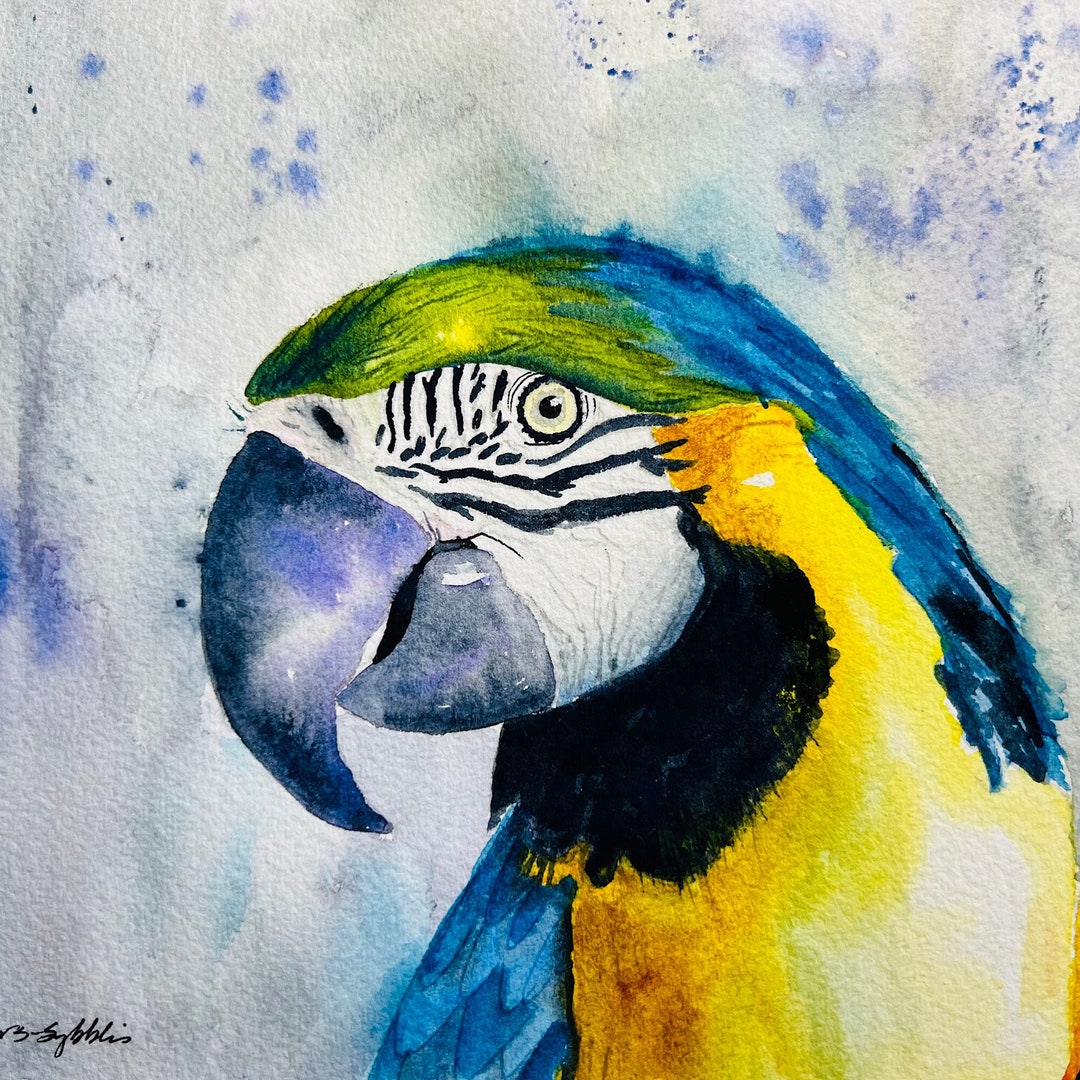 Online Class: Parrot Watercolour Painting [pre-recorded] - Etsy