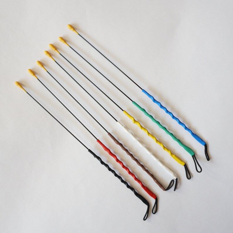 Calamity Stick BDSM evil stick misery stick sadistick | Etsy