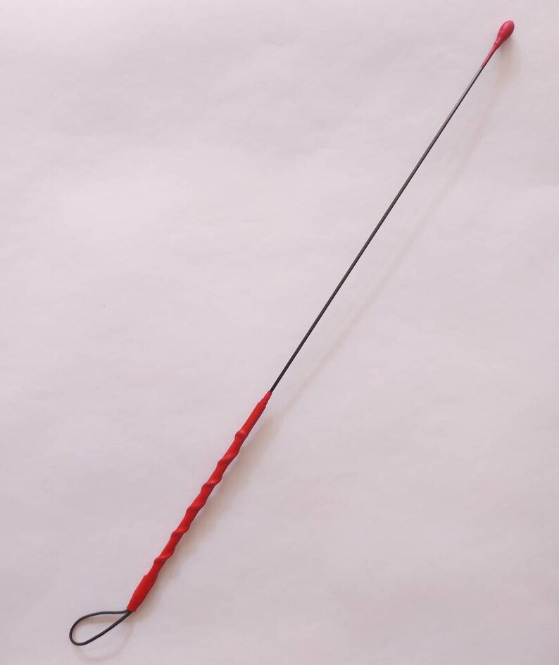 Calamity Stick Long BDSM, Evil Stick, Misery Stick, Sadistick, Wicked ...