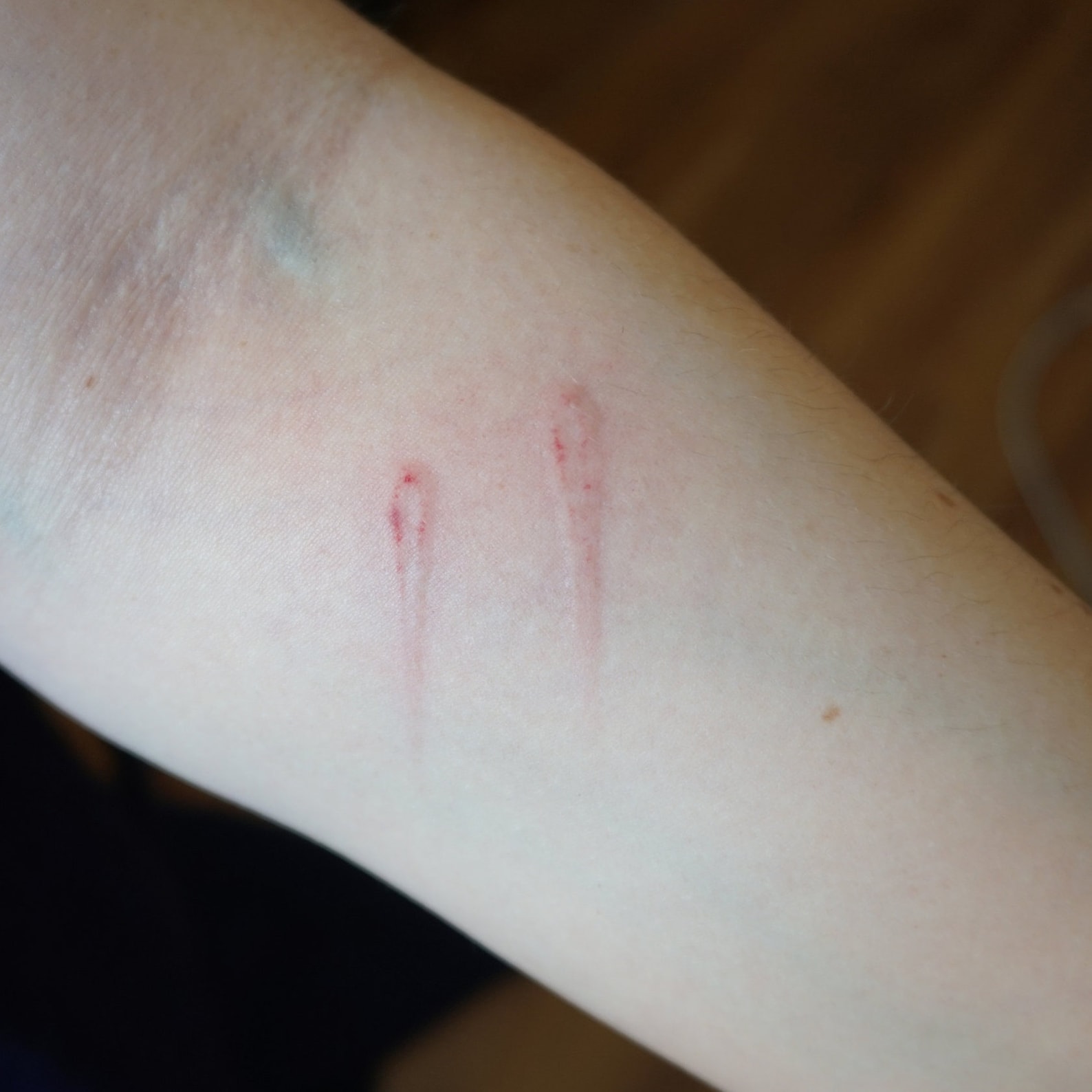 Calamity Stick BDSM, Evil Stick, Misery Stick, Sadistick, Wicked Stick ...