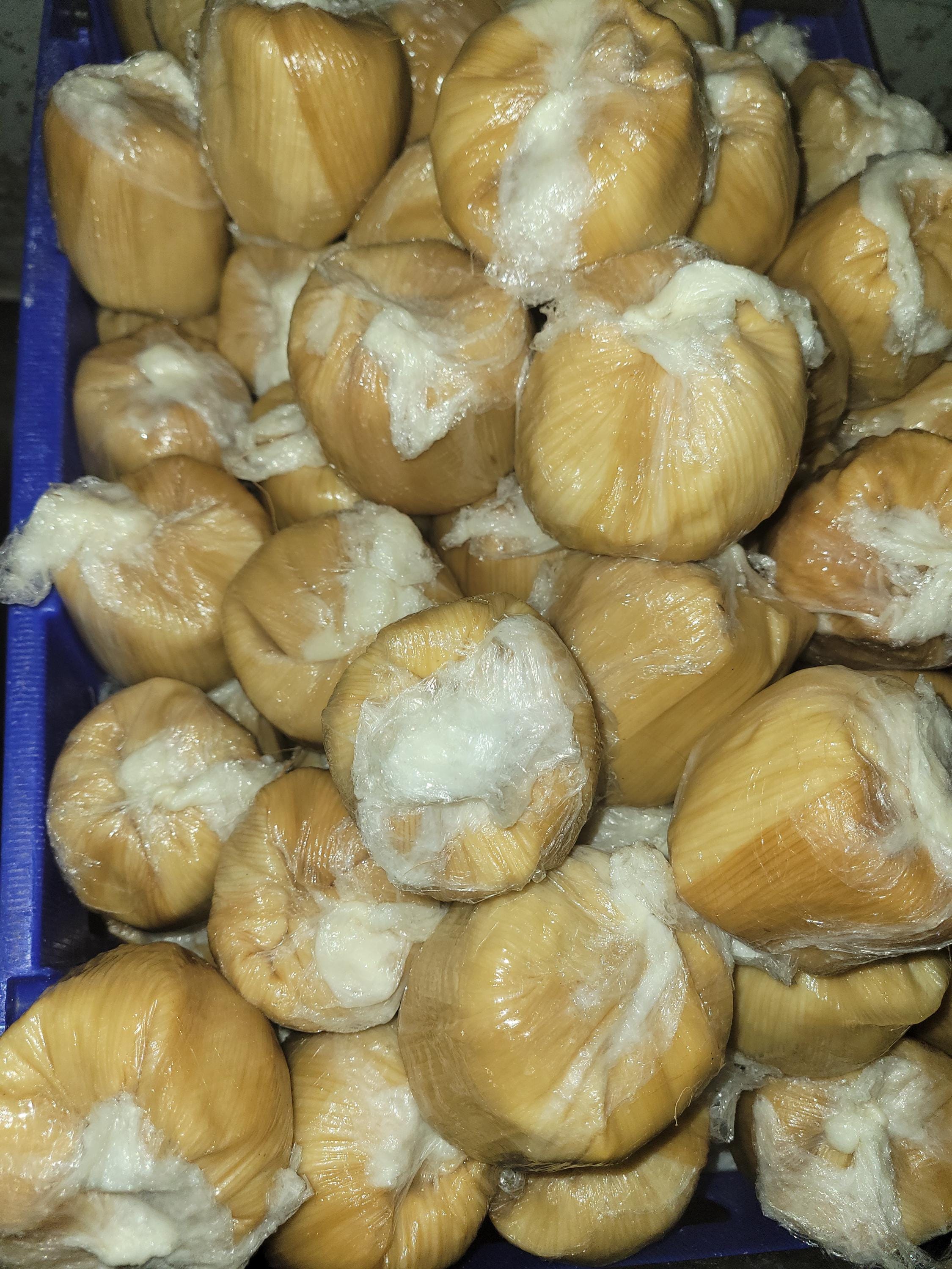 Asaenti | Ga Kenkey | Freshly Made to Order | Ghanaian Ga Kenkey | 50 Pcs - Etsy