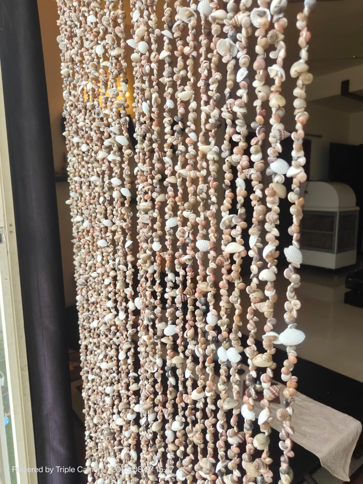 Shell Curtain