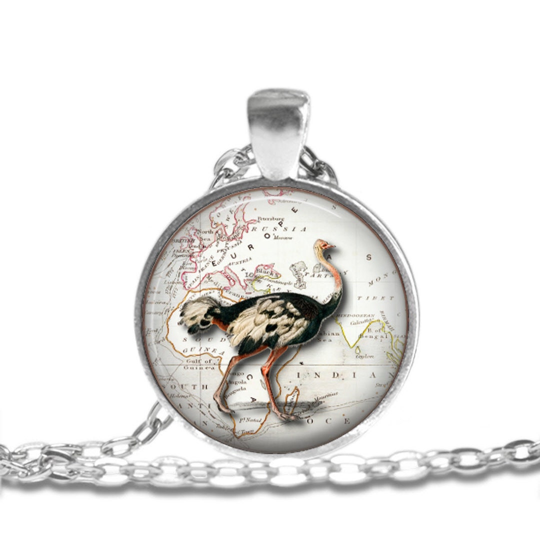 Safari Love - OSTRICH - Art Pendant Necklace, SILVER BEZEL BPN476 - Etsy