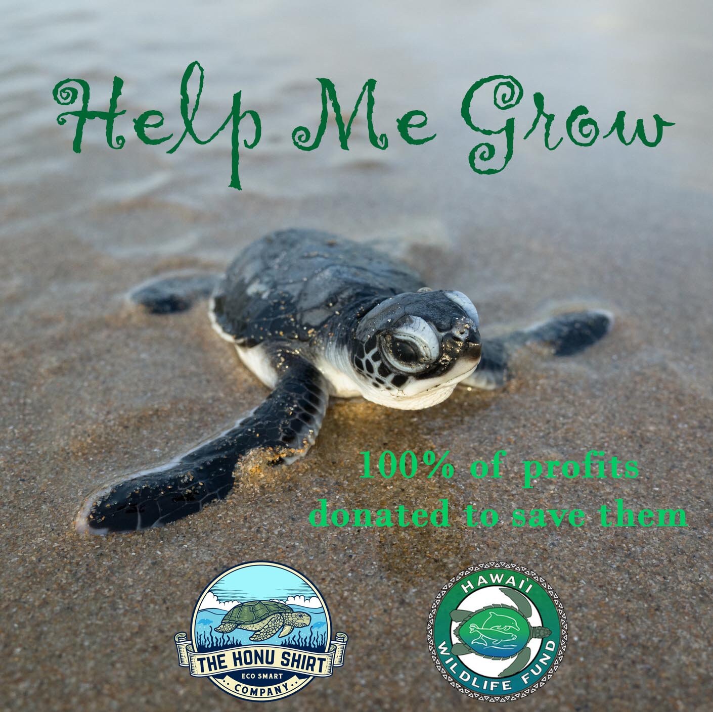 ECO Friendly Sea Turtle Graphic Tee T Shirt Organic Cotton & | Etsy