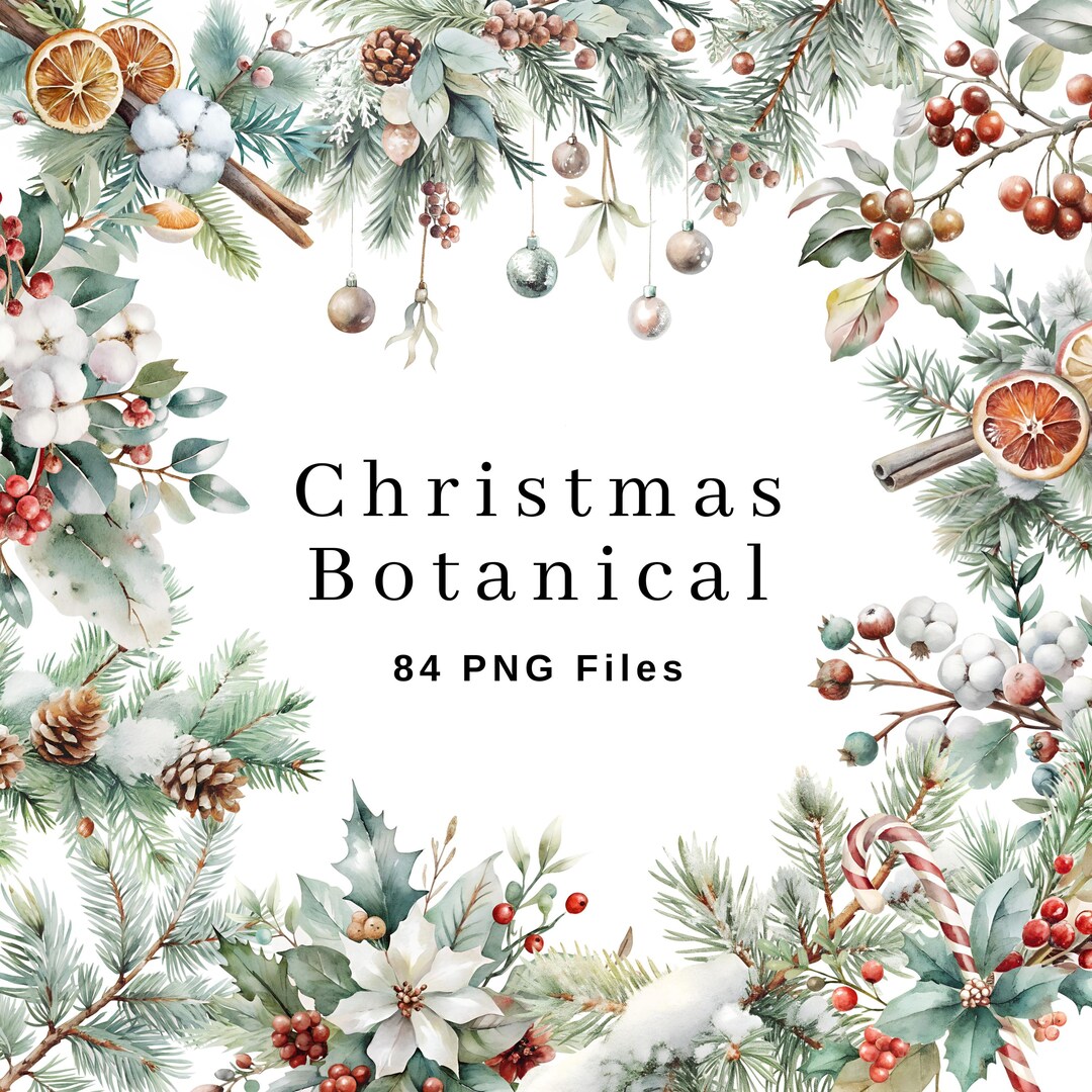Christmas Botanical Clipart, Winter Watercolor Clipart, Christmas ...