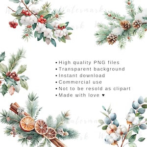 Christmas Botanical Clipart, Winter Watercolor Clipart, Christmas ...