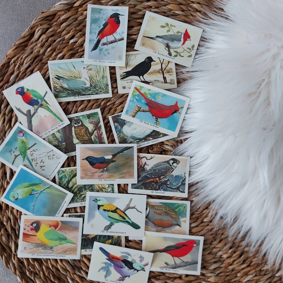 Rizla Bird Collection Pictures 20 Pieces - Etsy