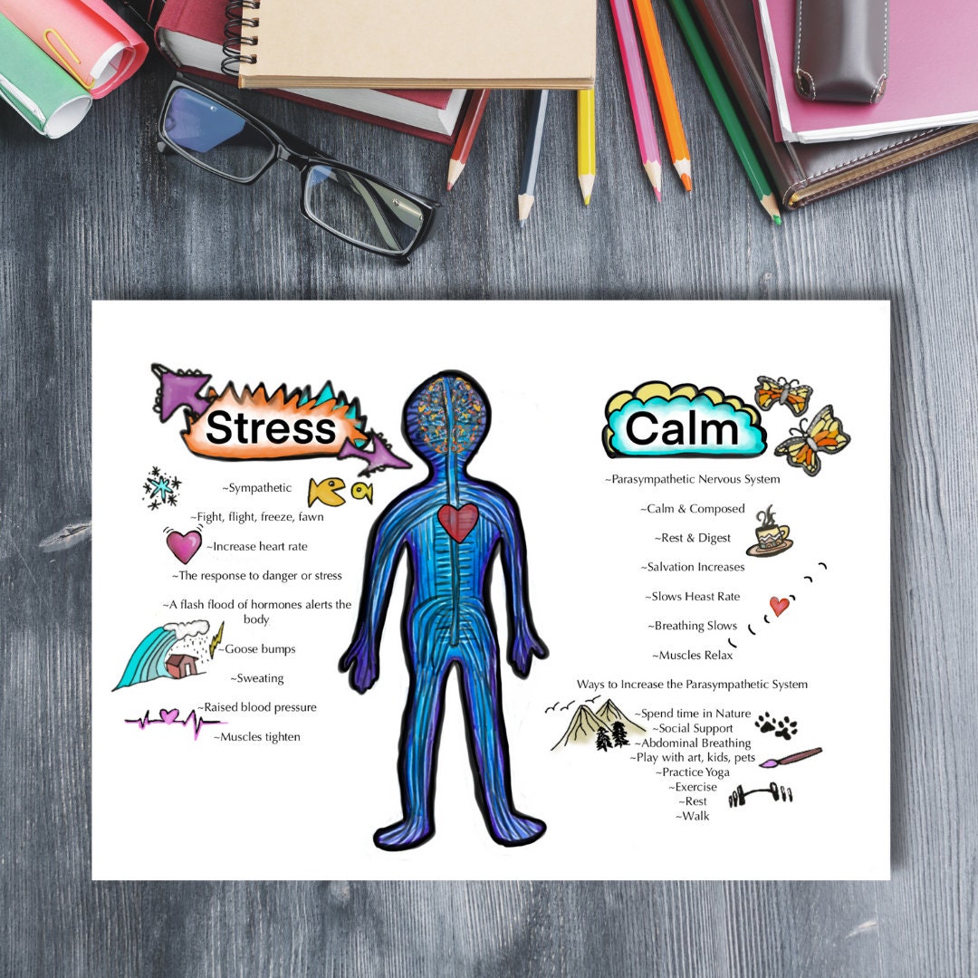 Nervous System Stress Understanding Stress for Kids Counselors Teachers ...