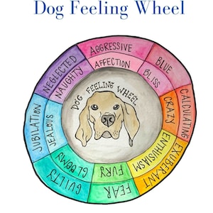 Cat & Dog Feeling Wheels Kids Emotional Awareness (plus 2 Blank ...