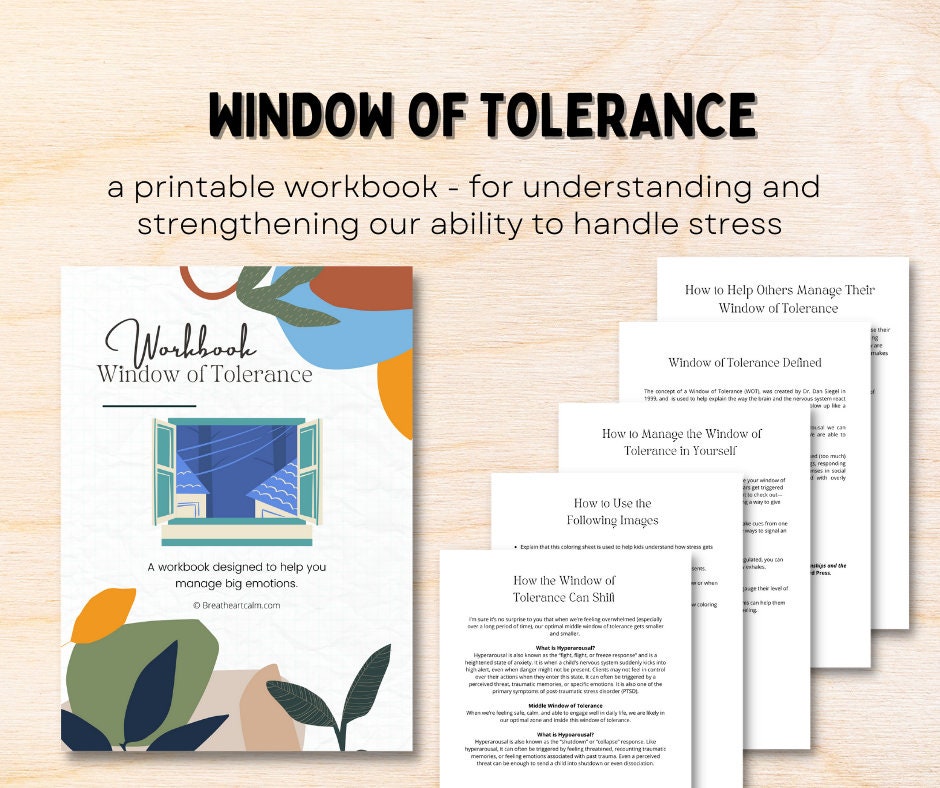 Guide to Window of Tolerance Self Regulation Skills Manage Big Emotions ...