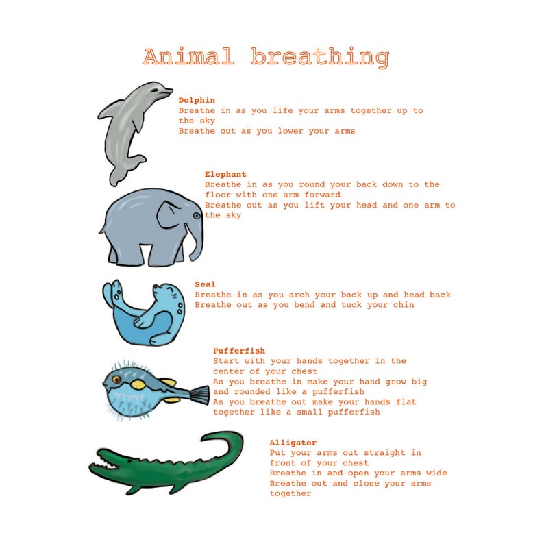 Understanding the Brain Using Animal Images Worksheet Guide ...