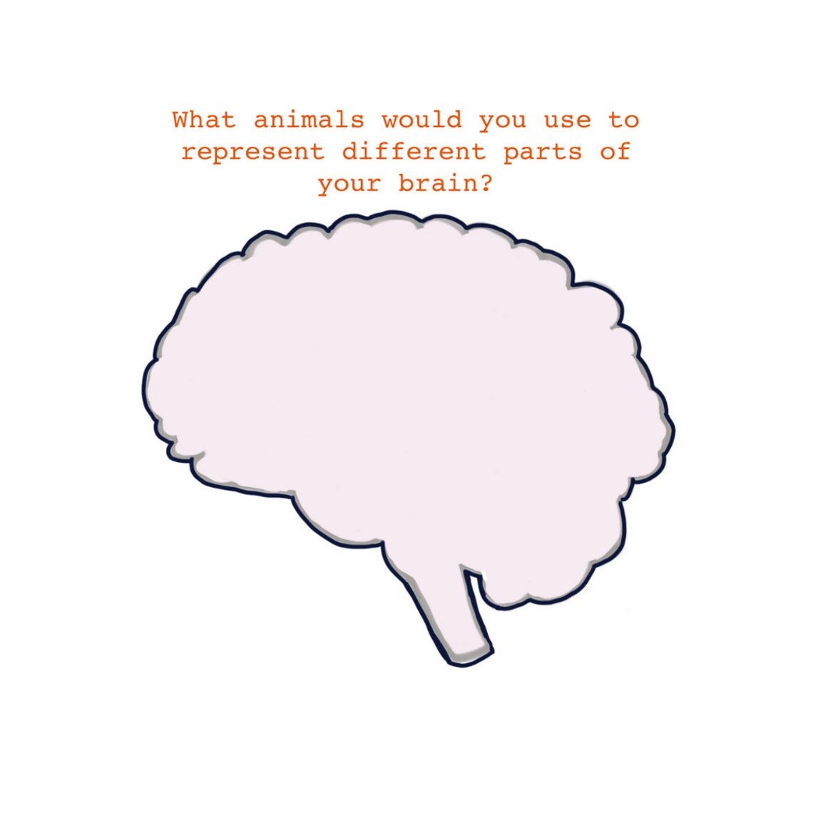 Understanding the Brain Using Animal Images Worksheet Guide - Etsy