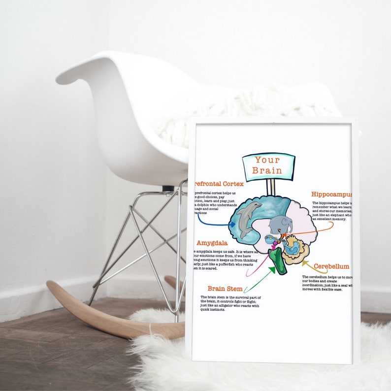 Understanding the Brain Using Animal Images Worksheet Guide - Etsy