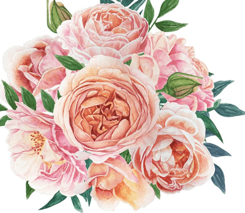 Coral Sunset Roses Floral Clipart Flower Clip Art Elements / Watercolor ...