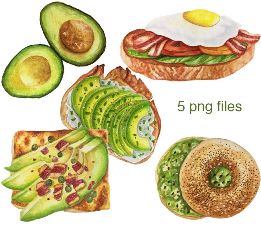 Watercolor Avocado Clipart / Art Elements / Watercolor Art / Avocado ...