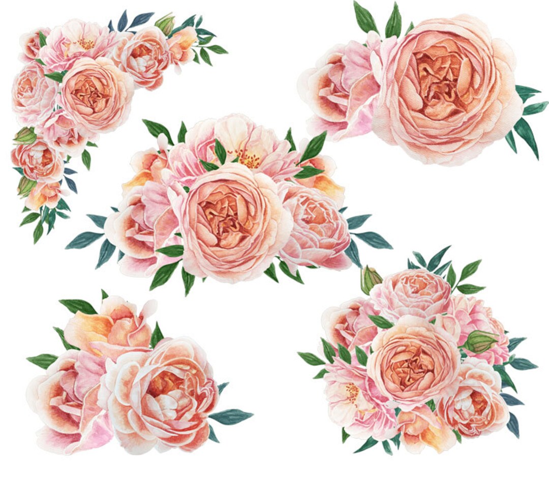 Coral Sunset Roses Floral Clipart Flower Clip Art Elements / Watercolor ...