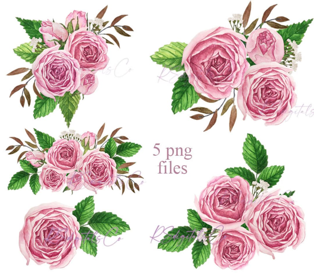 Roses Floral Clipart Flower Clip Art Elements / Watercolor Art / Flower ...