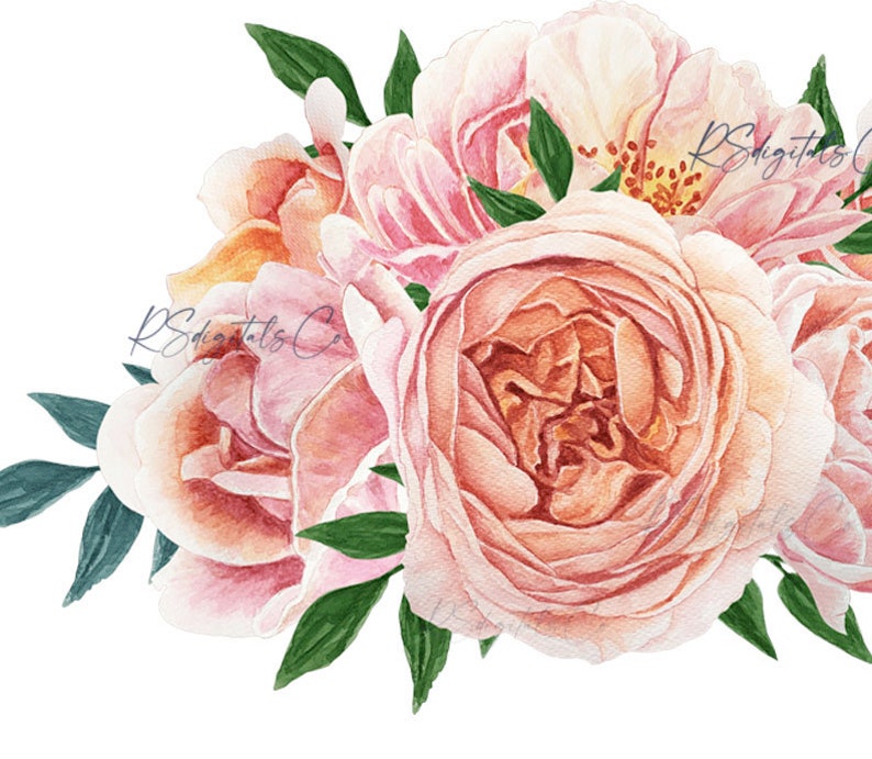 Coral Sunset Roses Floral Clipart Flower Clip Art Elements / Watercolor ...