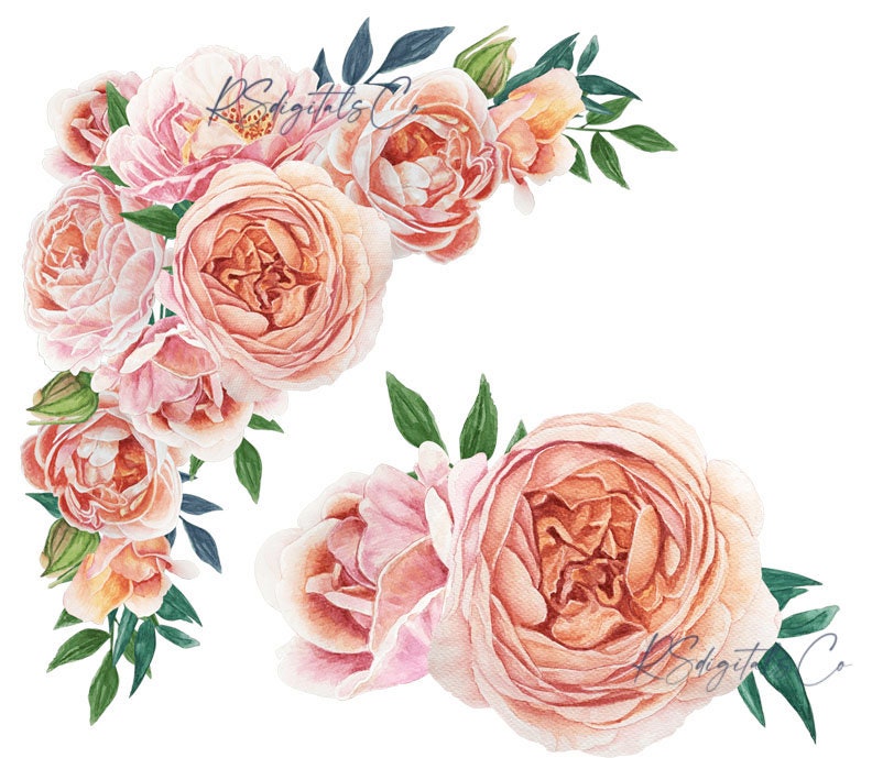 Coral Sunset Roses Floral Clipart Flower Clip Art Elements / Watercolor ...