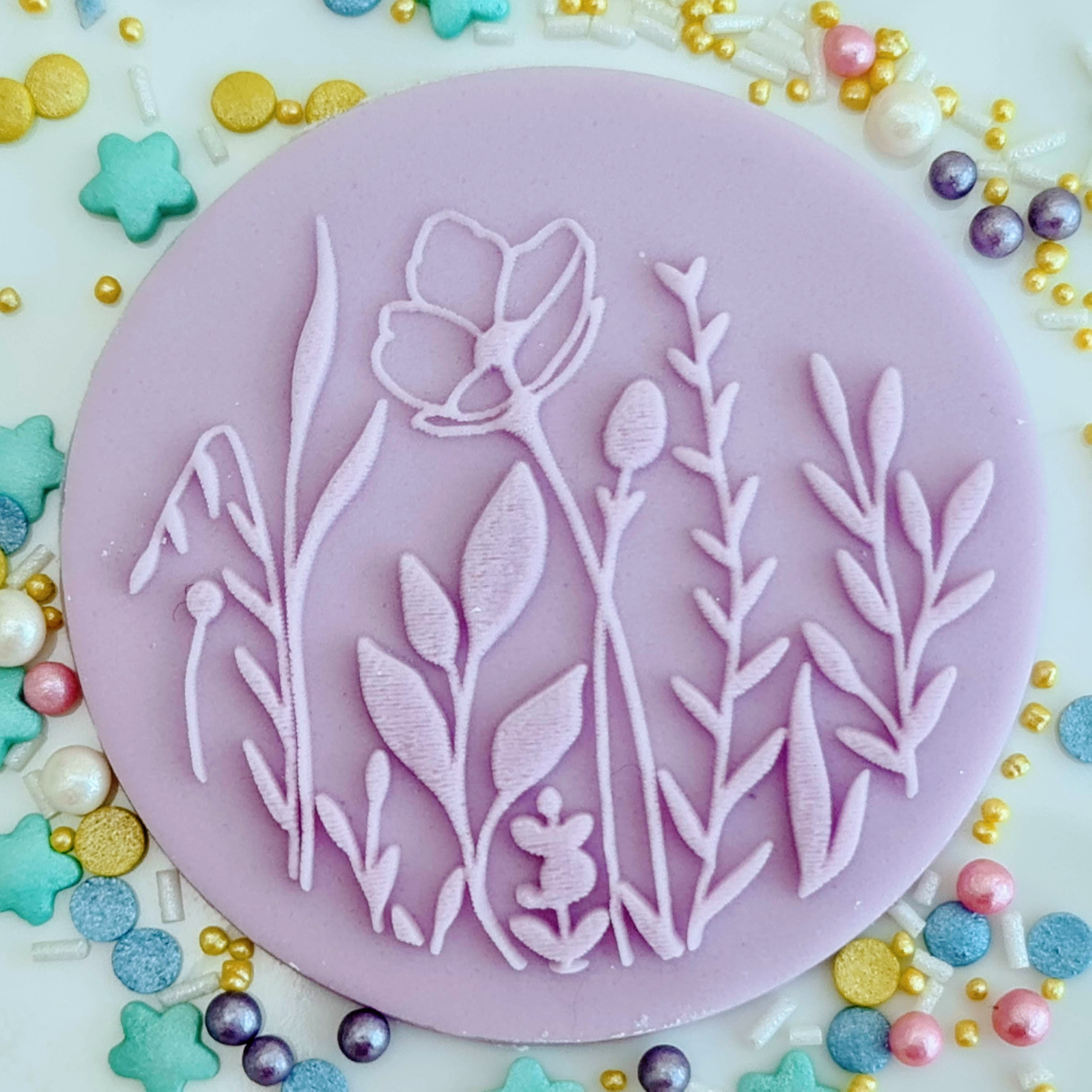 cupcakes Safari embosser fondant stamp acrylic embosser for cookies and ...