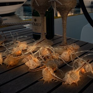 Sea Shell Led Lights Garland, Nautical Valentine's Gift, Beach Picnic ...