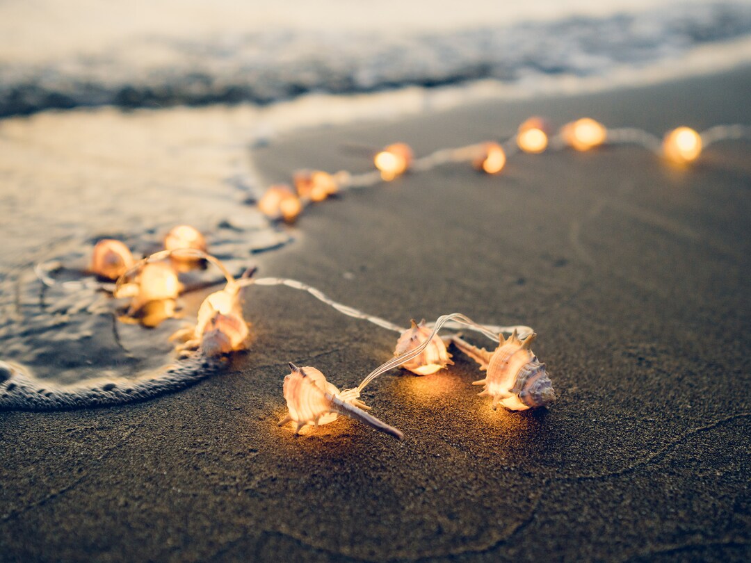 Sea Shell Led Lights Garland, Nautical Valentine's Gift, Beach Picnic ...
