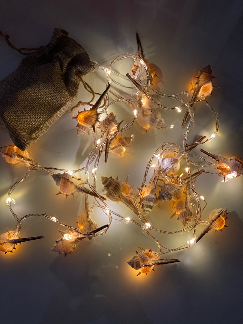Sea Shell Led Lights Garland Nautical Valentine's Gift - Etsy