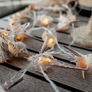 Sea Shell Led Lights Garland, Nautical Valentine's Gift, Beach Picnic ...