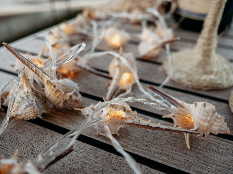 Sea Shell Led Lights Garland, Nautical Valentine's Gift, Beach Picnic ...