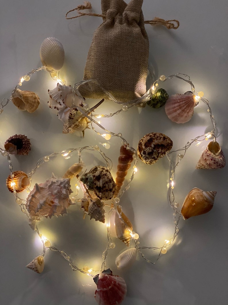 Sea Shell LED Lights Garland Christmas Beach Picnic Yacht - Etsy
