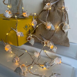 Sea Shell Led Lights Garland, Nautical Valentine's Gift, Beach Picnic ...