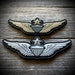 ARMY “aviator” Badge PVC Patch - Pilot Aircrew Wings - Master, Senior ...