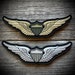ARMY “aviator” Badge PVC Patch - Pilot Aircrew Wings - Master, Senior ...